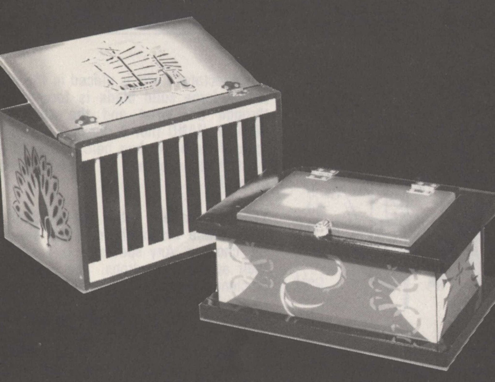 Miracle Dove Act Instructions | MagicTrickCollection.com - Rare ...